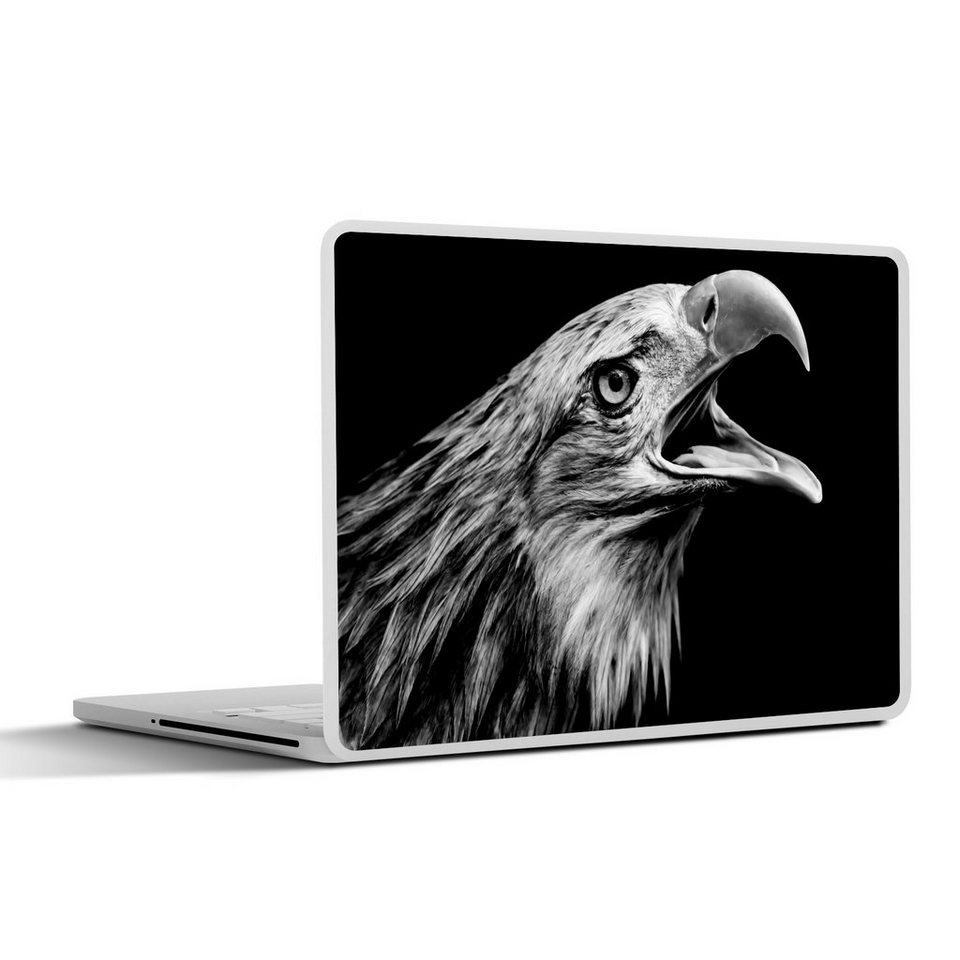 Muchowow Wandsticker Adler Porträt Raubvögel Schwarz Weiß