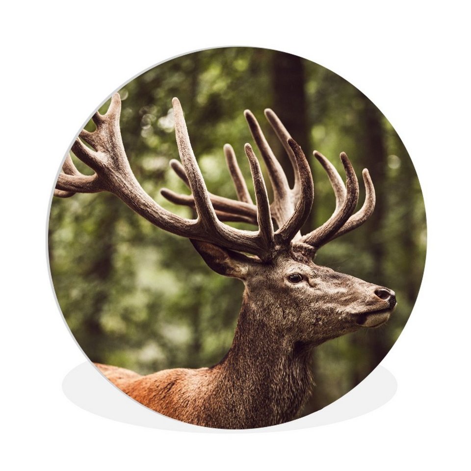 Muchowow Gemälde Hirsch Natur Geweih Wald Tiere Ø Cm 1 St
