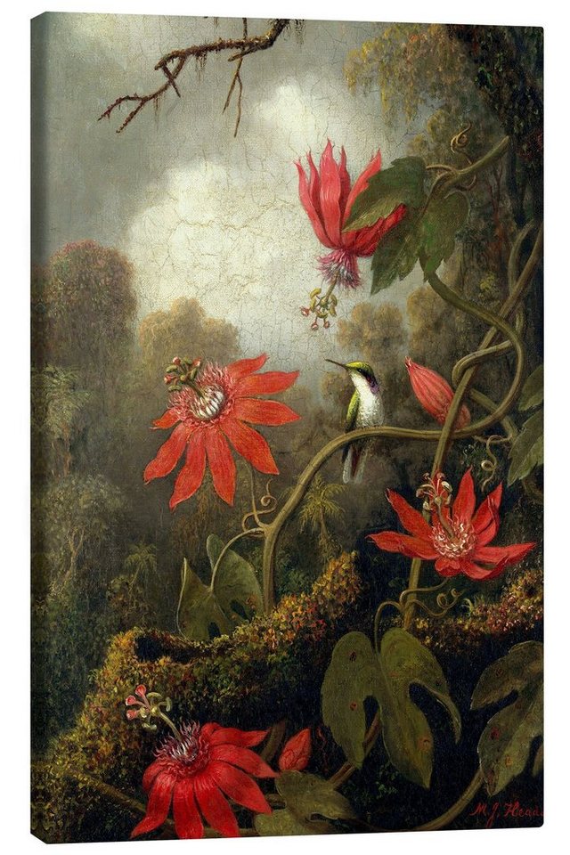 Posterlounge Leinwandbild Martin Johnson Heade Kolibri Und