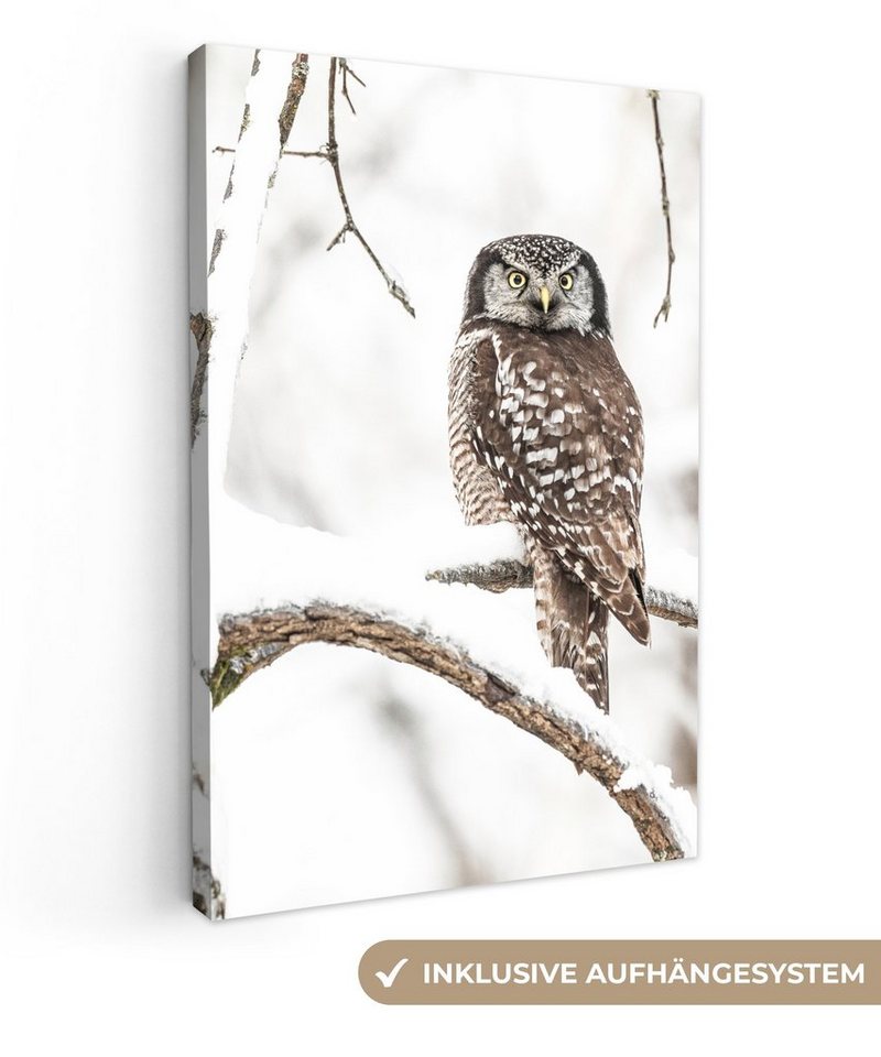 Onemillioncanvasses® Leinwandbild Eule Schnee Winter Vögel