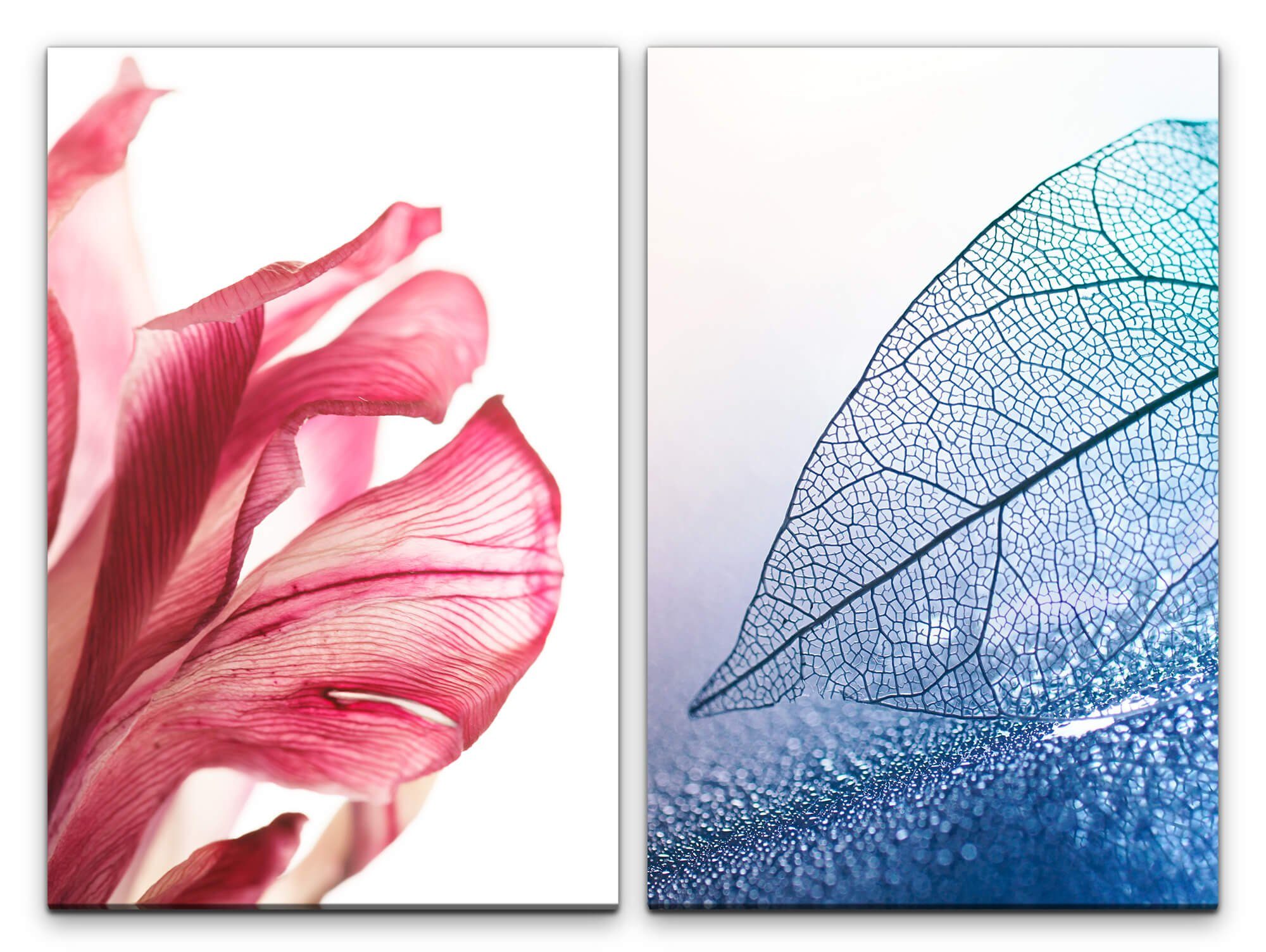 Sinus Art Leinwandbild 2 Bilder Je 60x90cm Blüten Blatt Rot Blau