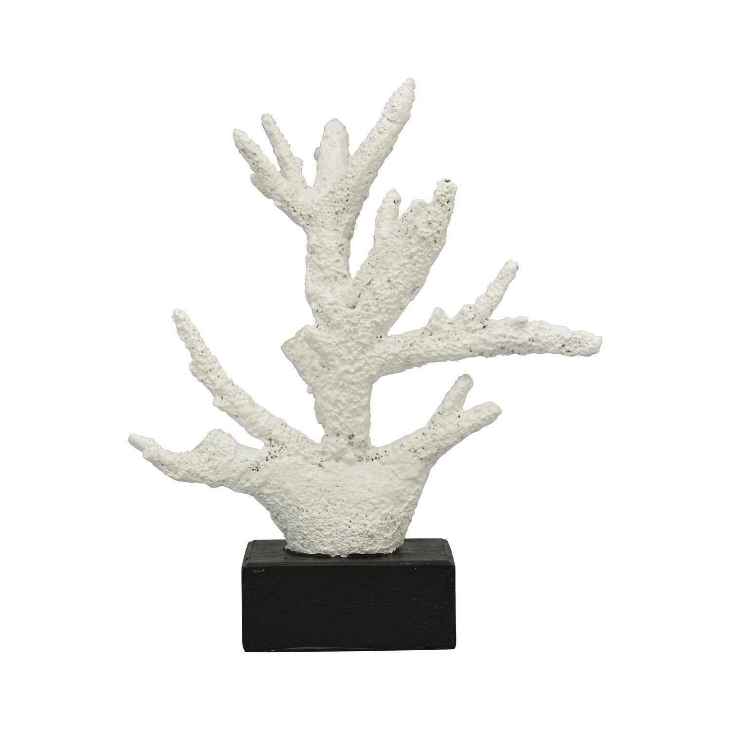 Koralle Deko-Objekte online kaufen | OTTO