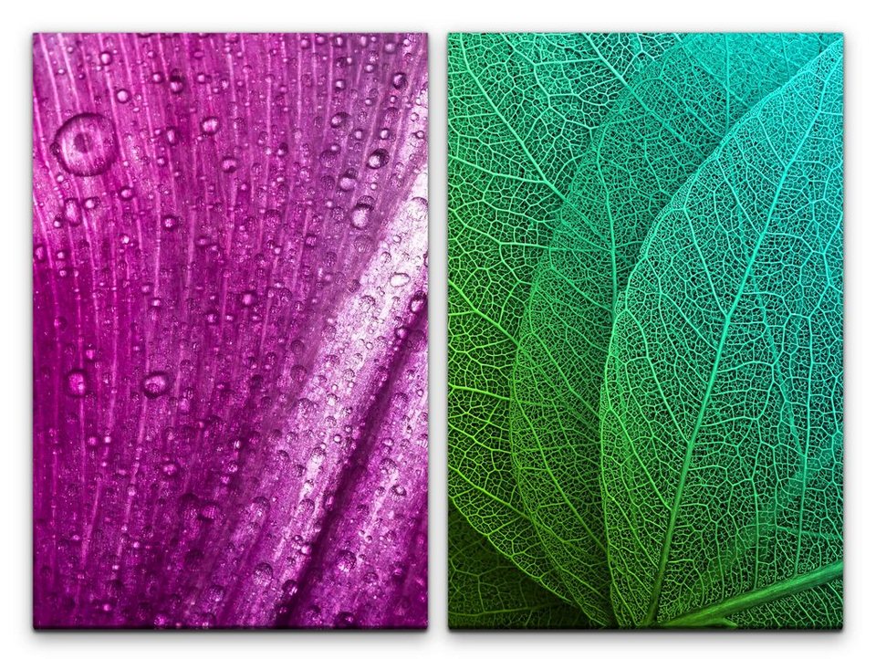 Sinus Art Leinwandbild 2 Bilder Je 60x90cm Regentropfen Blüte Blätter