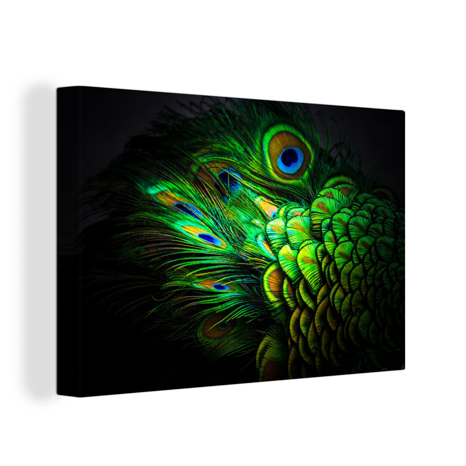 Onemillioncanvasses® Leinwandbild Muster Pfau Federn 1 St