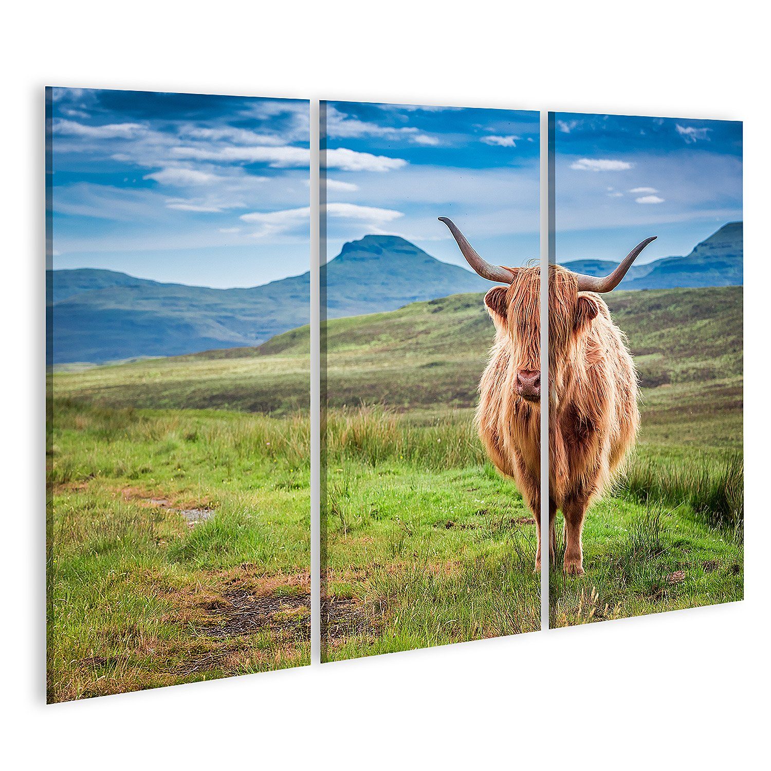 islandburner Leinwandbild Bild auf Leinwand Weidende Hochlandkuh auf der Isle of Skye Schottland