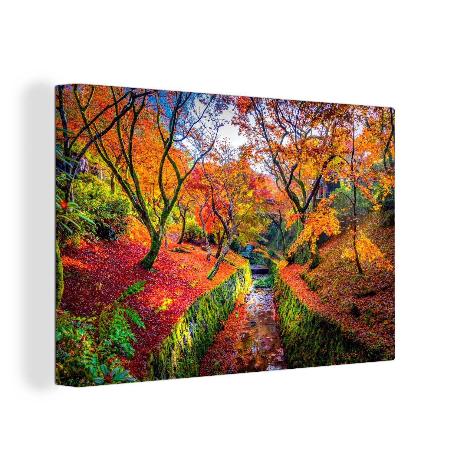 Onemillioncanvasses® Leinwandbild Blick Auf Die Bunten Blätter Der