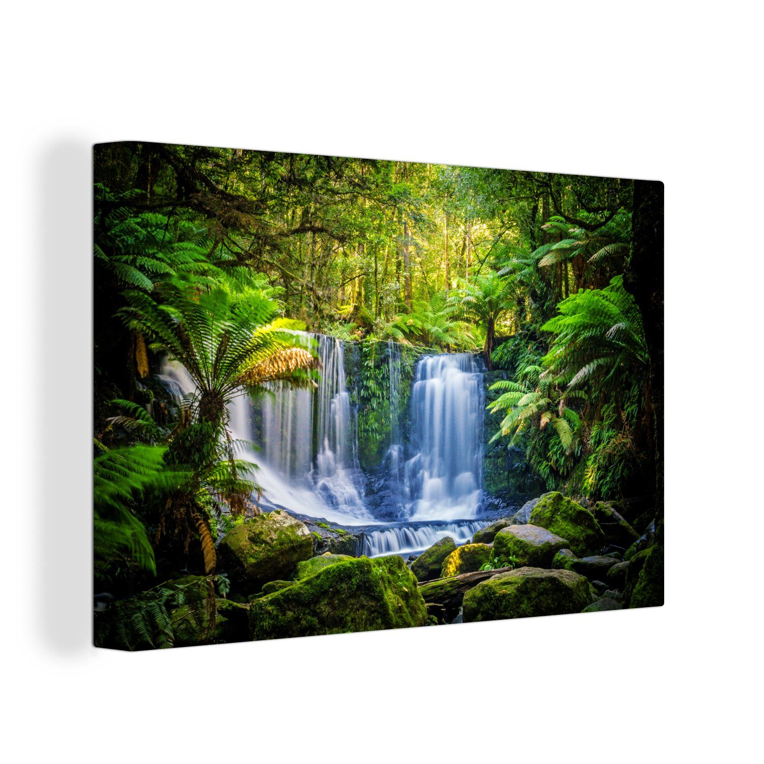 Onemillioncanvasses® Leinwandbild Dschungel Wasserfall Australien