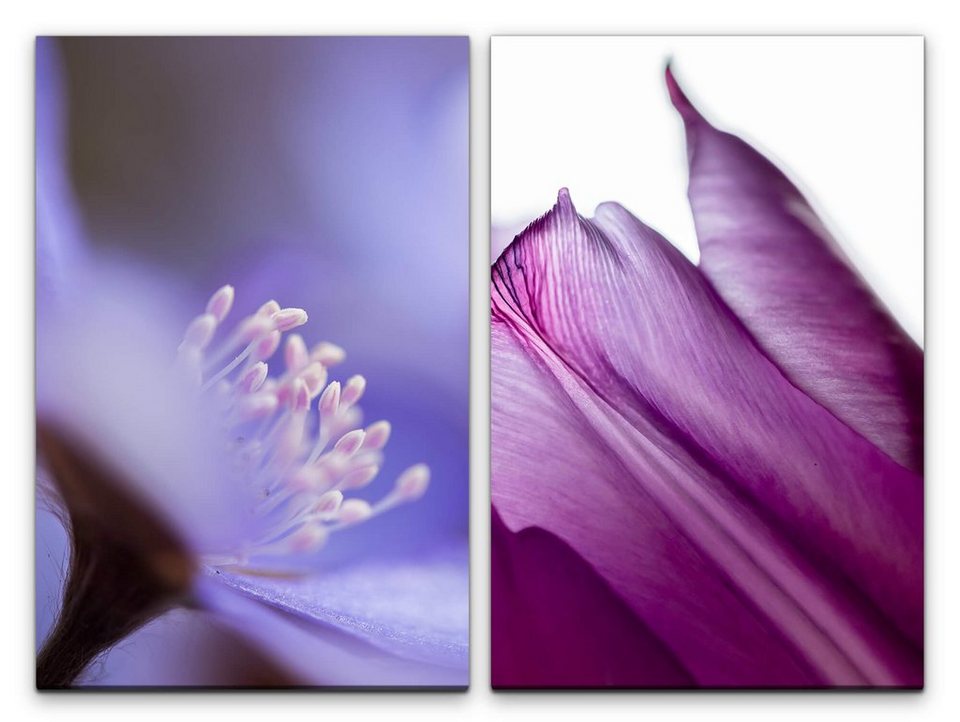 Sinus Art Leinwandbild 2 Bilder Je 60x90cm Blumen Blüten Blau Dekorativ