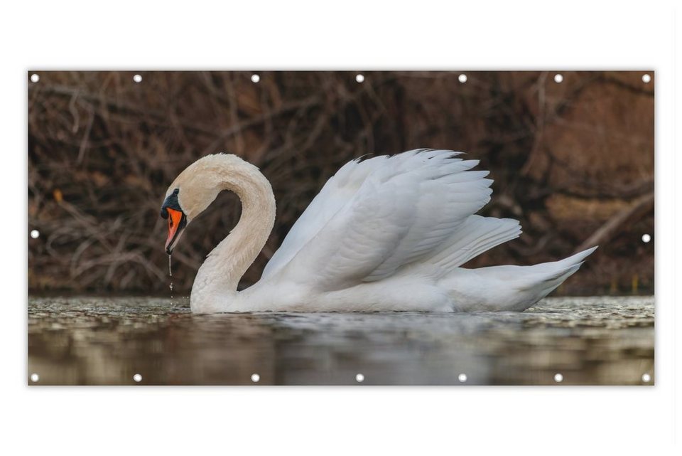 Muchowow Balkonsichtschutz Schwan Wasser Tiere Vogel 1 St