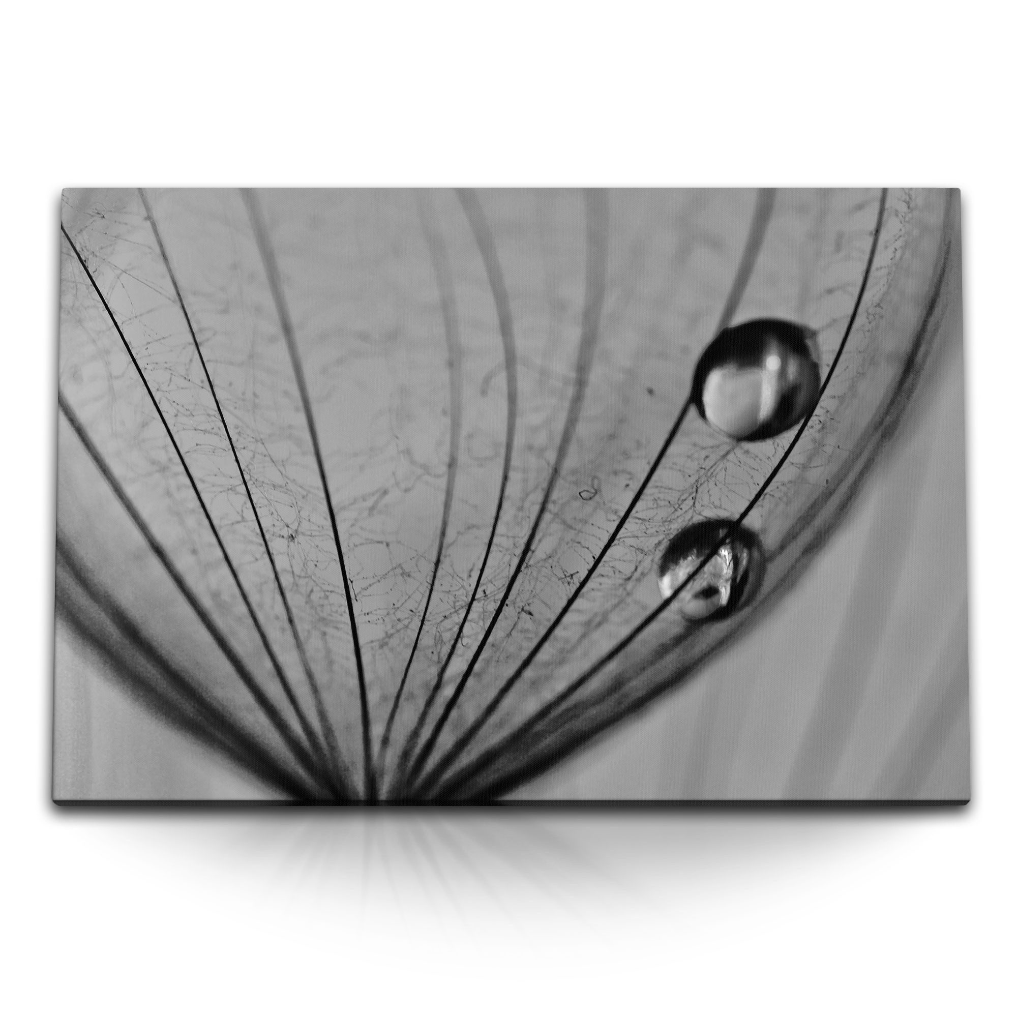 Sinus Art Leinwandbild 120x80cm Wandbild Auf Leinwand Schwarz Weiß