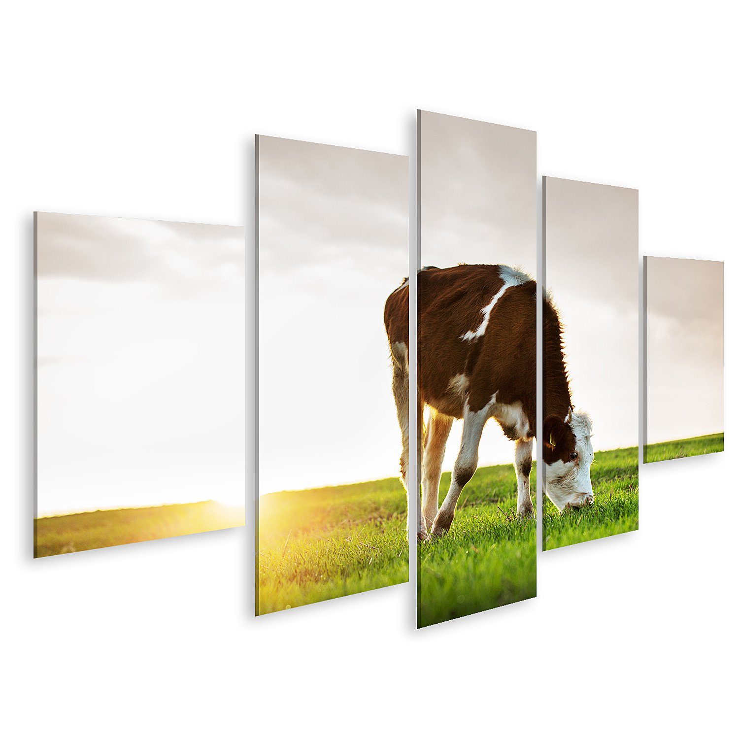 islandburner Leinwandbild »Bild auf Leinwand Kuh grasend in frischen Weiden Wandbild Poster ...