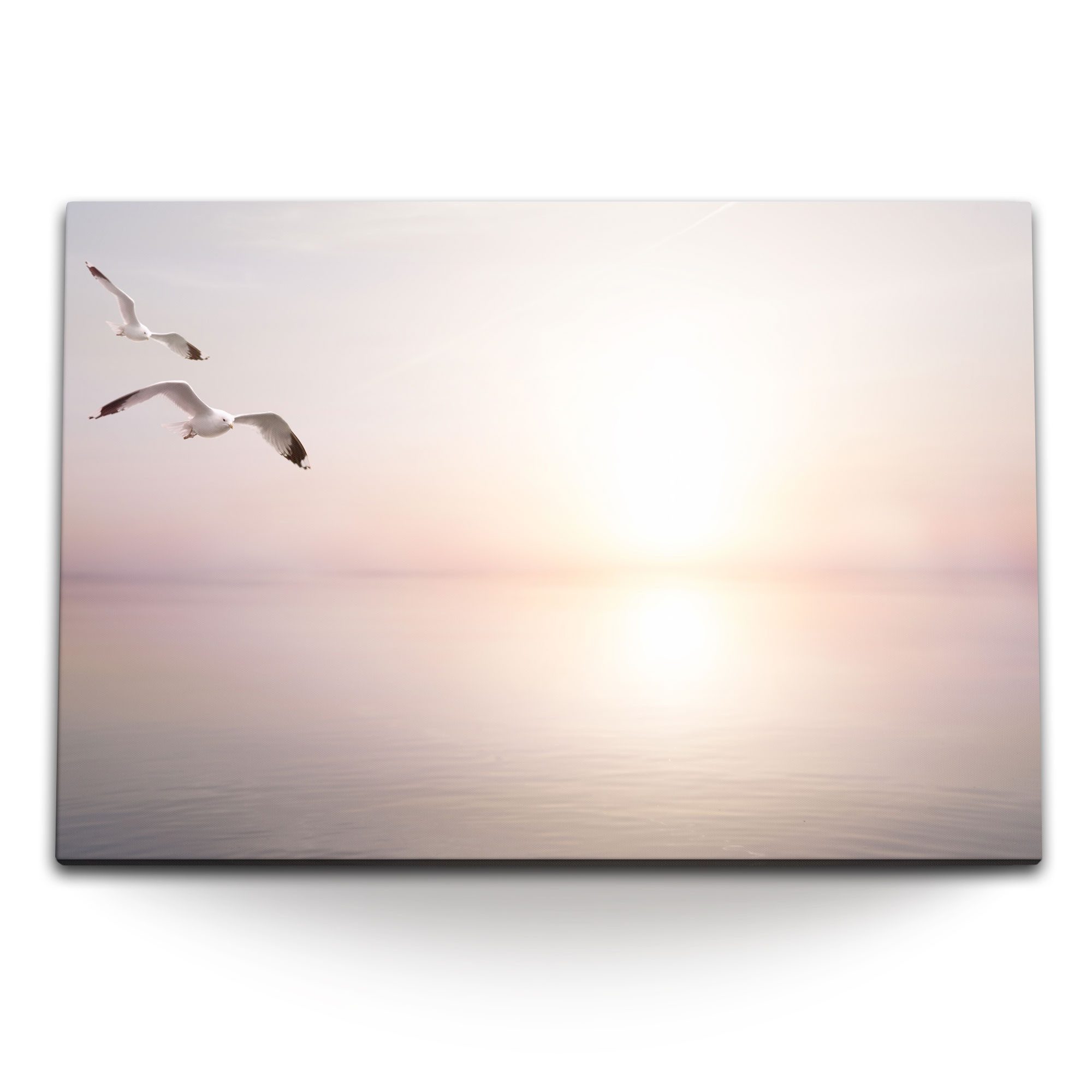Sinus Art Leinwandbild 120x80cm Wandbild auf Leinwand Möwen Vögel Sonnenuntergang Meer Horizo ...