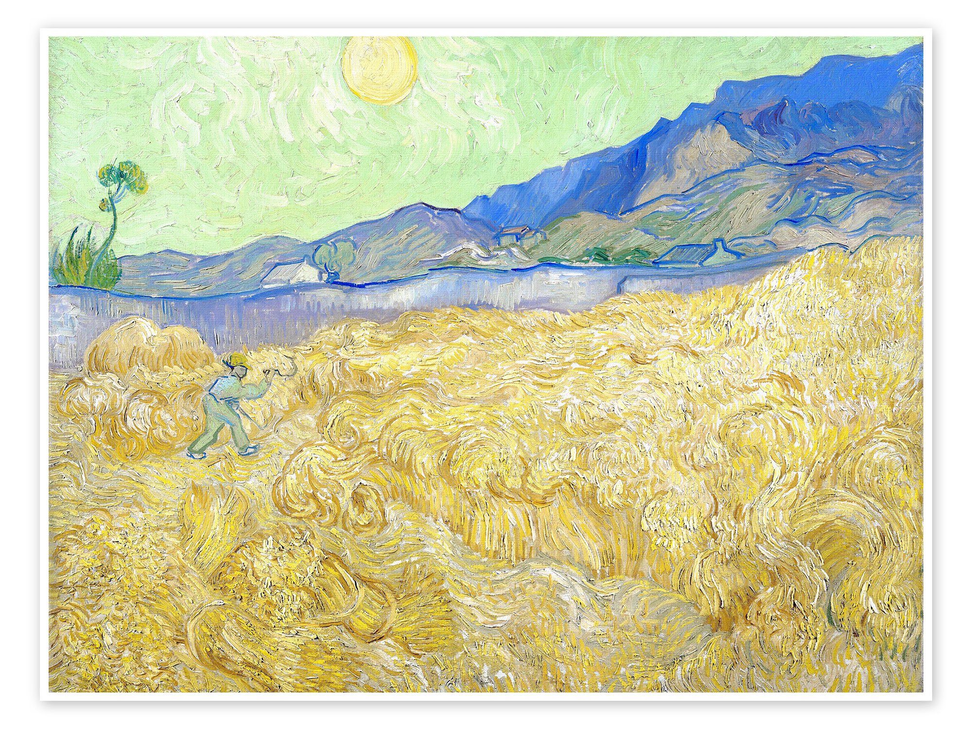 Posterlounge Poster Vincent Van Gogh Weizenfeld Mit Schnitter Bei