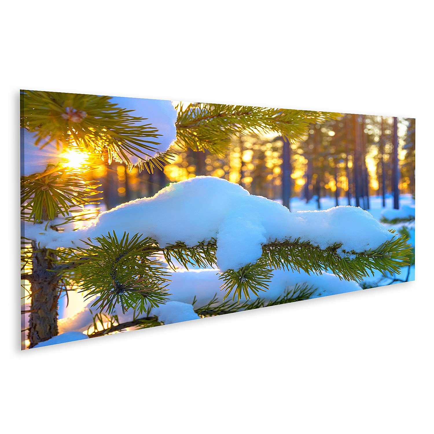 islandburner Leinwandbild Bild auf Leinwand Pine Zweig Im Schnee Winter Sonnenuntergang Im Wald