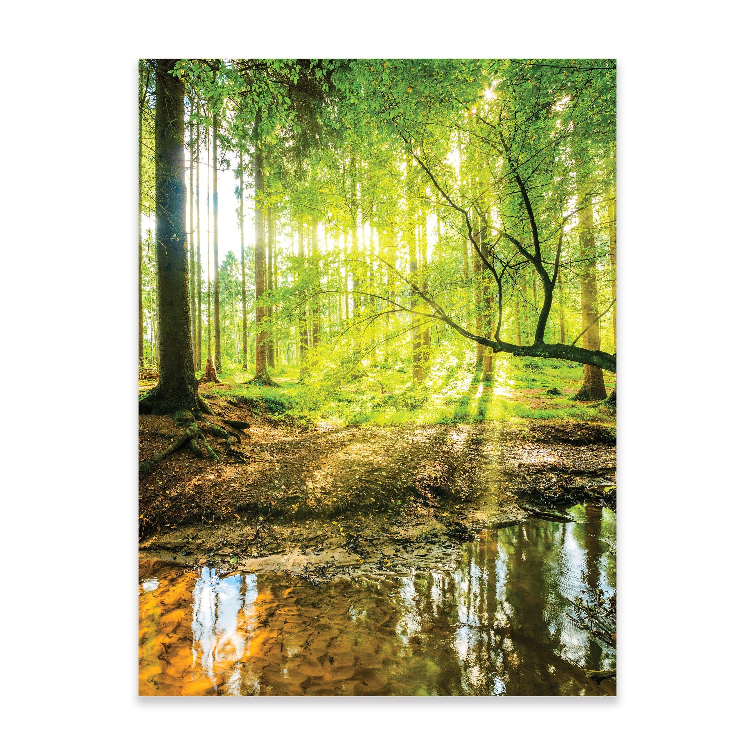 Wallarena Poster Wald Natur Wohnzimmer Schlafzimmer Kunstdruck Wandbild XXL, Wald (OHNE RAHMEN ...