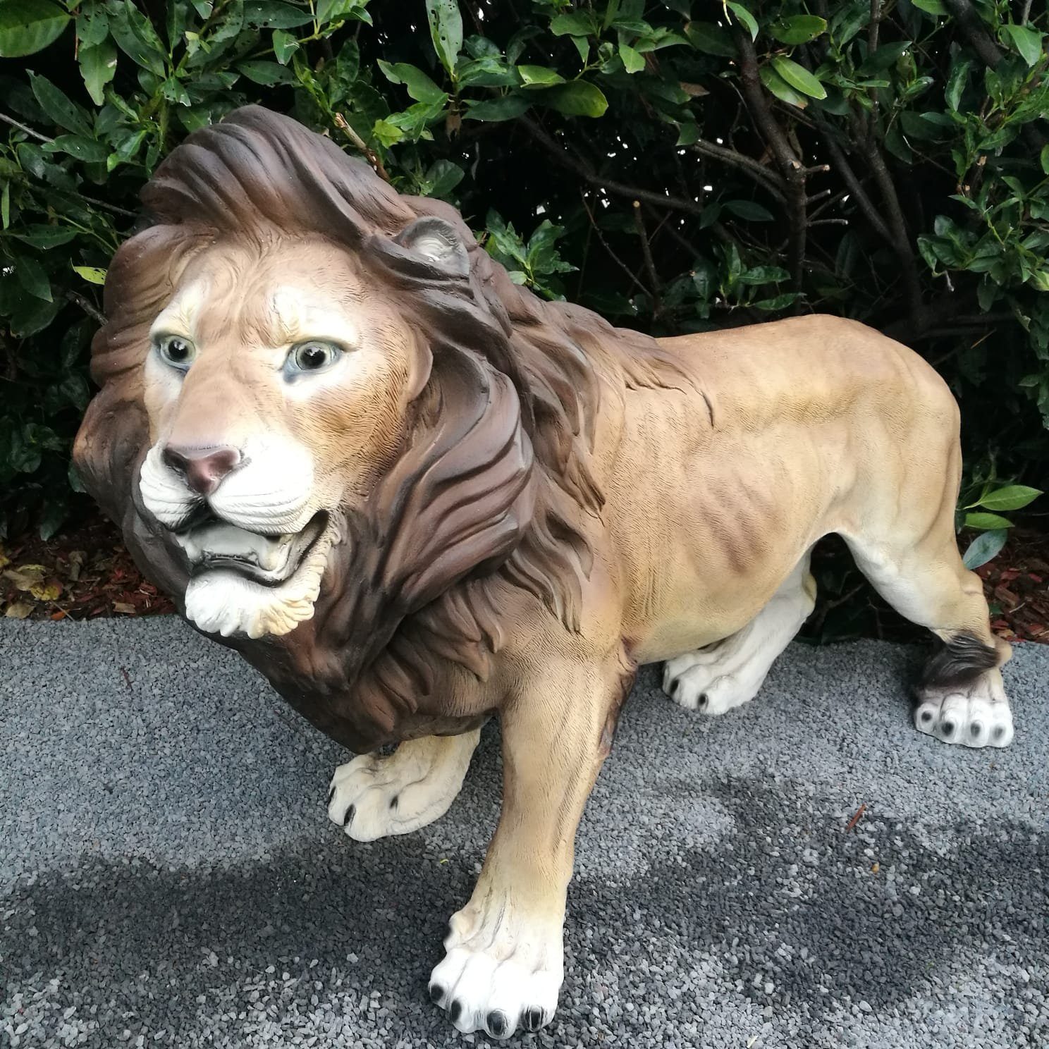 Aspinaworld Gartenfigur Große Löwen Figur Steht 75 Cm Wetterfest