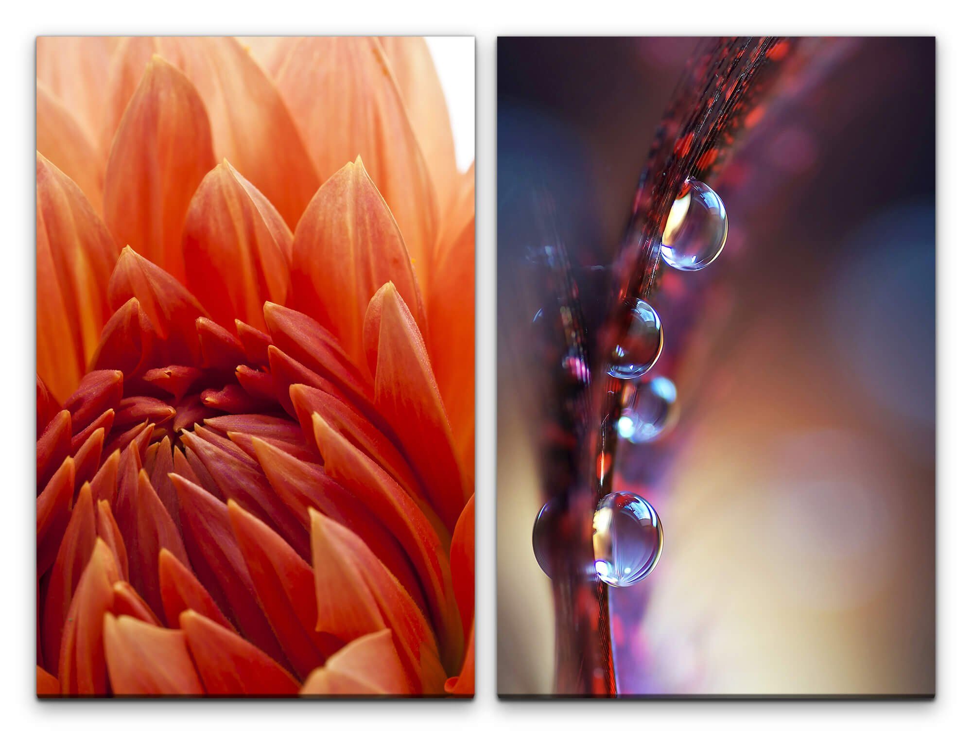 Sinus Art Leinwandbild 2 Bilder Je 60x90cm Dahlie Wasserperlen Rote