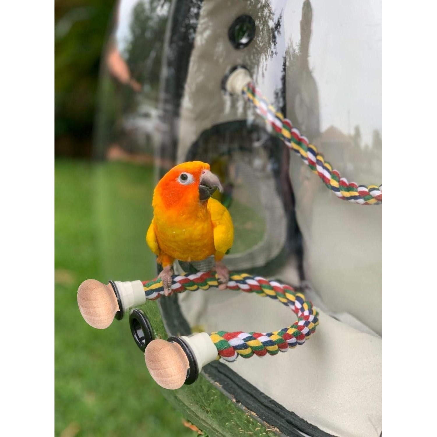 LuxusKollektion Vogelkäfig Rucksack Bird Carrier Bubble Edelstahl ...