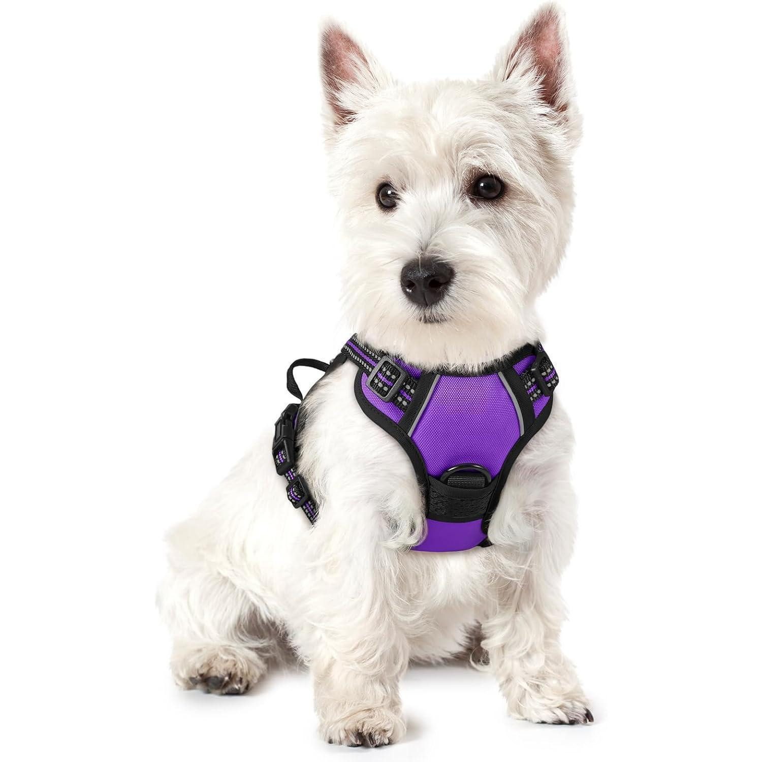 LuxusKollektion Hunde-Sicherheitsgeschirr Hundegeschirr Brustgeschirr ...