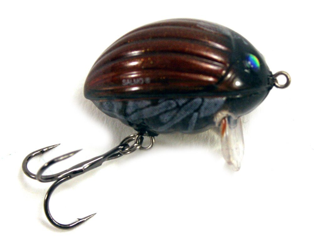 Salmo Kunstköder Salmo Wobbler Lil Bug May Bug, (1-St)