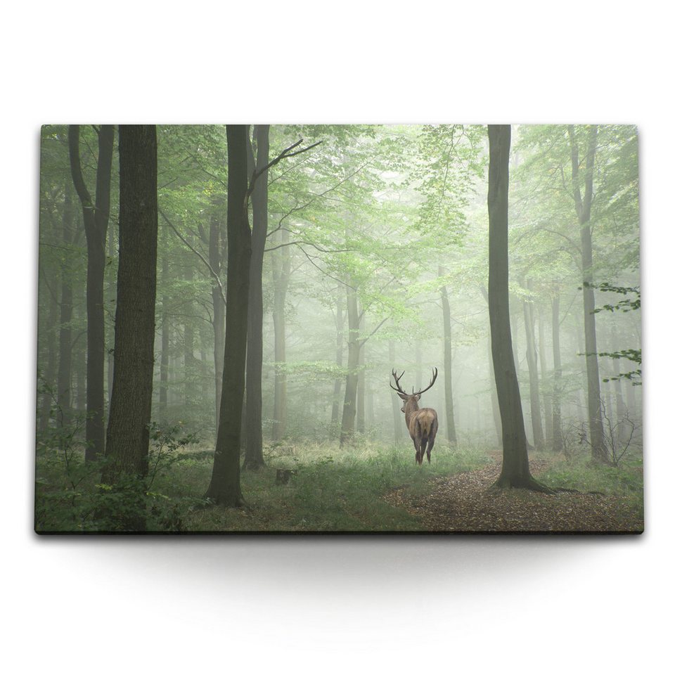 Sinus Art Leinwandbild 120x80cm Wandbild Auf Leinwand Hirsch Im Wald