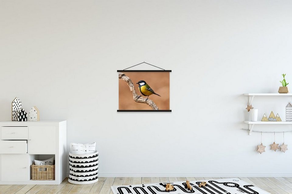 Muchowow Poster Vogel Kohlmeise Zweige 1 St Magnetische