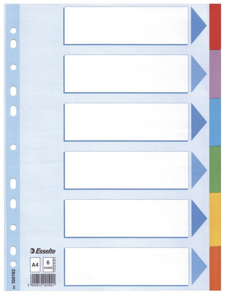 ESSELTE Klemmen Esselte Karton-Register, blanko, A4, 6-teilig, mehrfarbig ESSELTE Klemmen Esselte Karton-Register, blanko, A4, 6-teilig, mehrfarbig