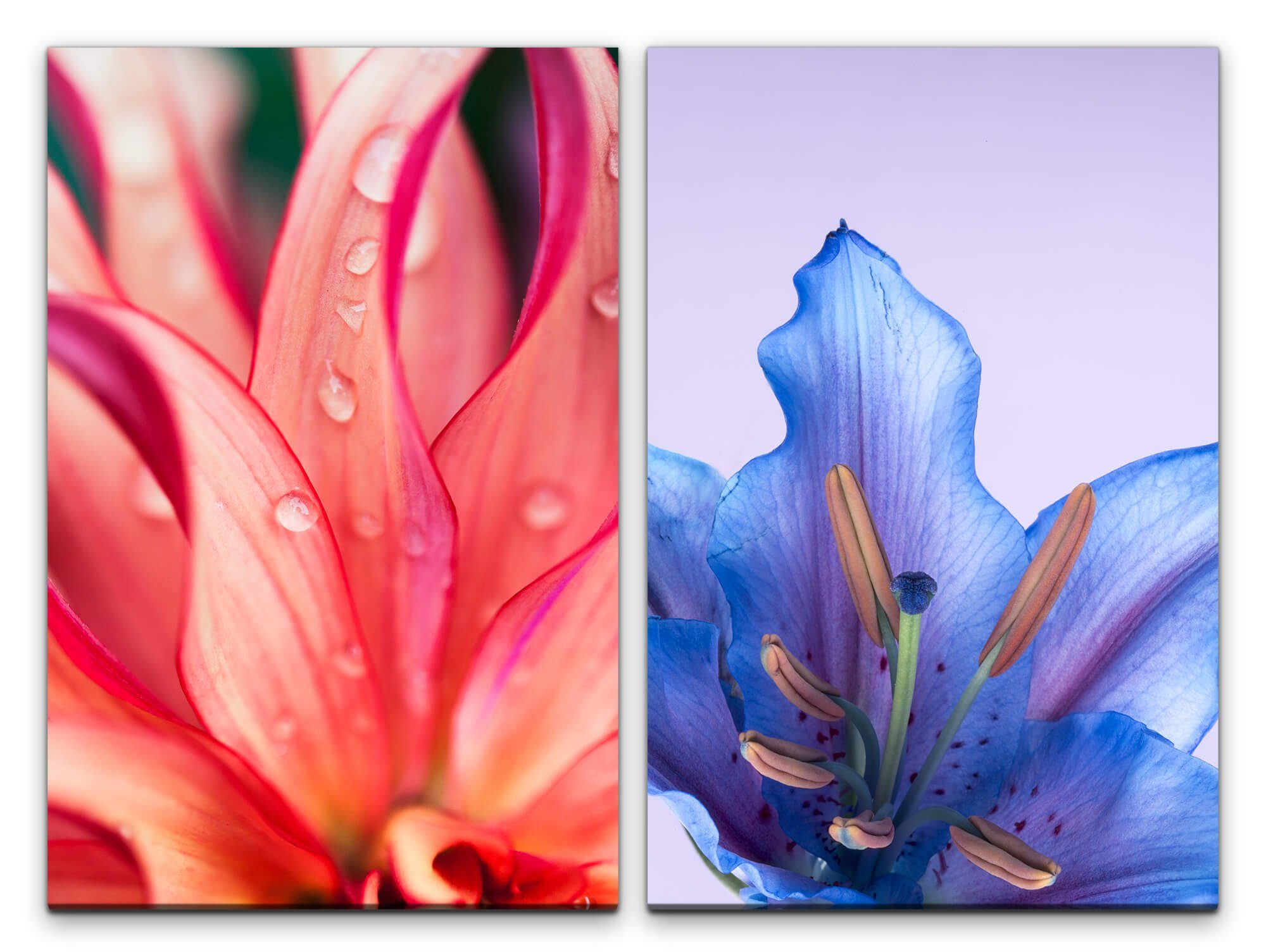 Sinus Art Leinwandbild 2 Bilder Je 60x90cm Blumen Blüten Sommer Wasser