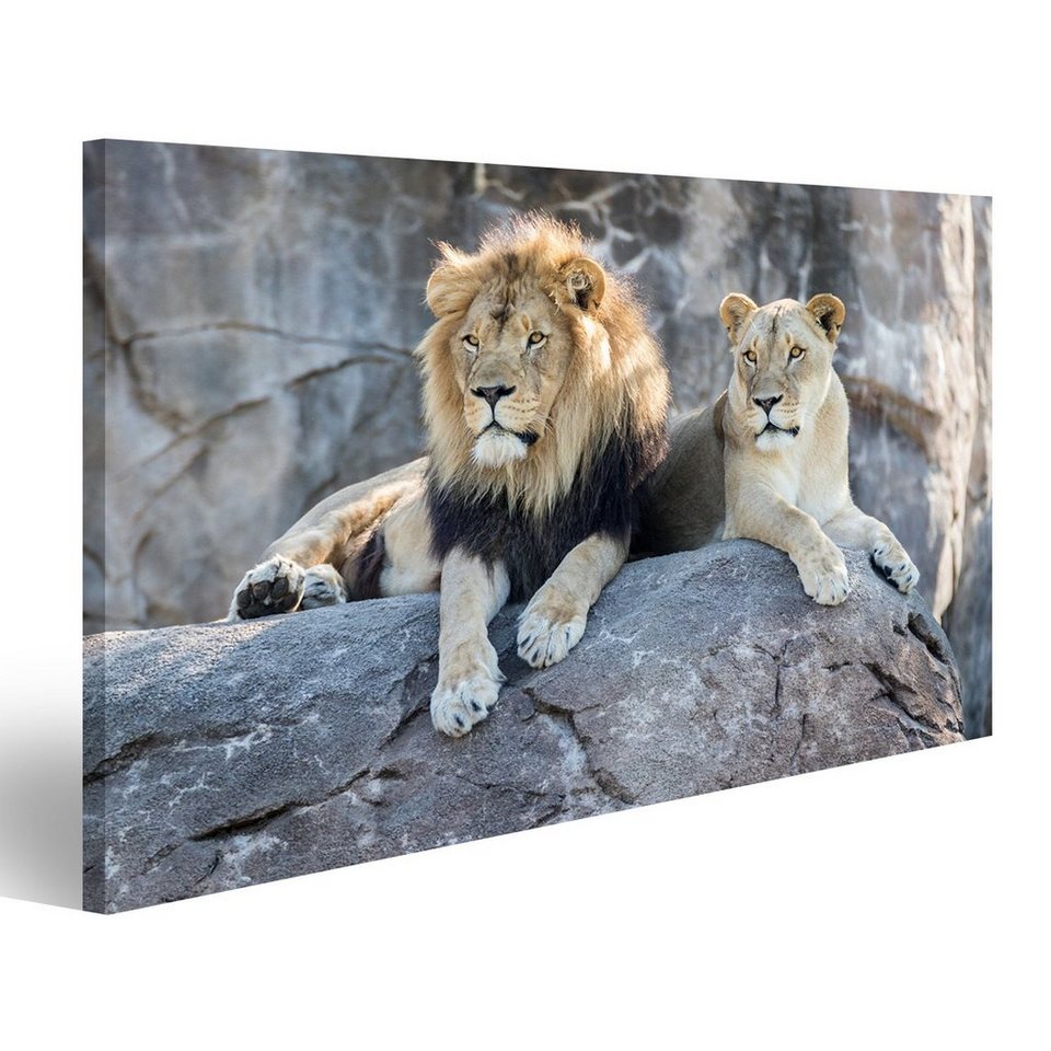 islandburner Leinwandbild »Bild auf Leinwand Männliche Und Weibliche ... islandburner Leinwandbild »Bild auf Leinwand Männliche Und Weibliche ...