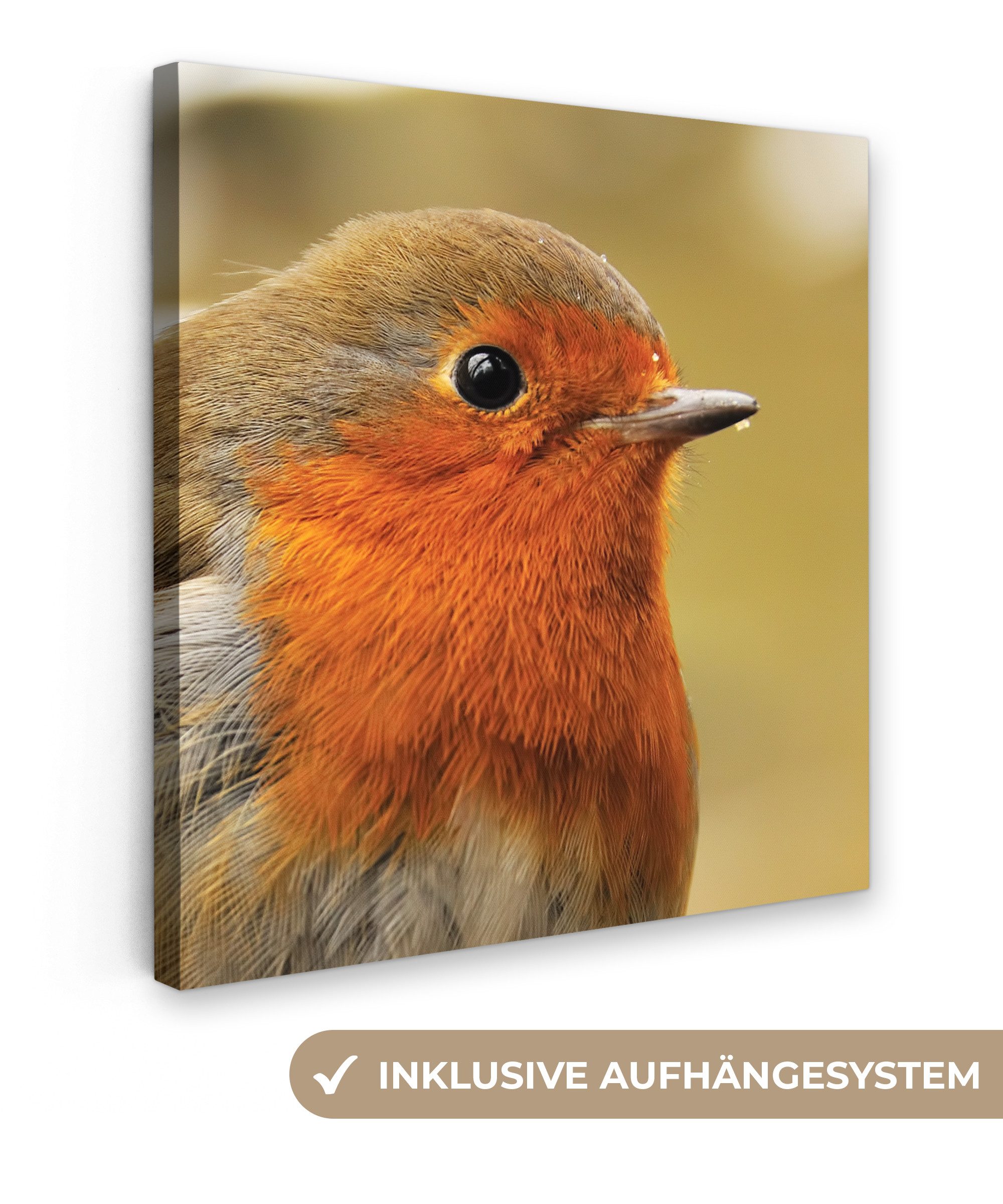 Onemillioncanvasses® Leinwandbild Vogel Rotkehlchen Porträt