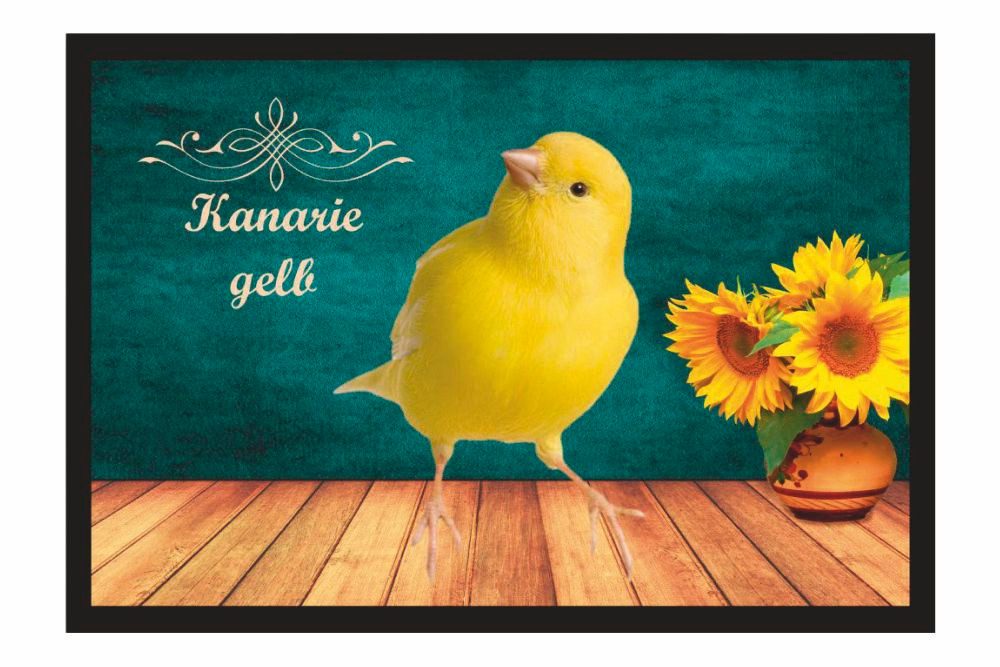 Ladreas Fußmatte Schmutzfangmatte Ziergeflügel Kanarie gelb F2384 ...