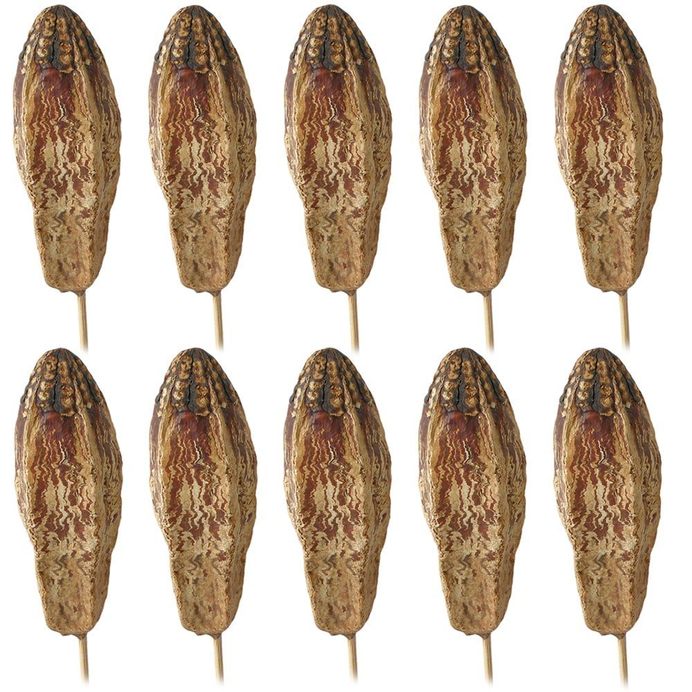 Kunstblume Zerdrachgewächse Mehogni Stiel Naturdeko Natur 10 Er Set