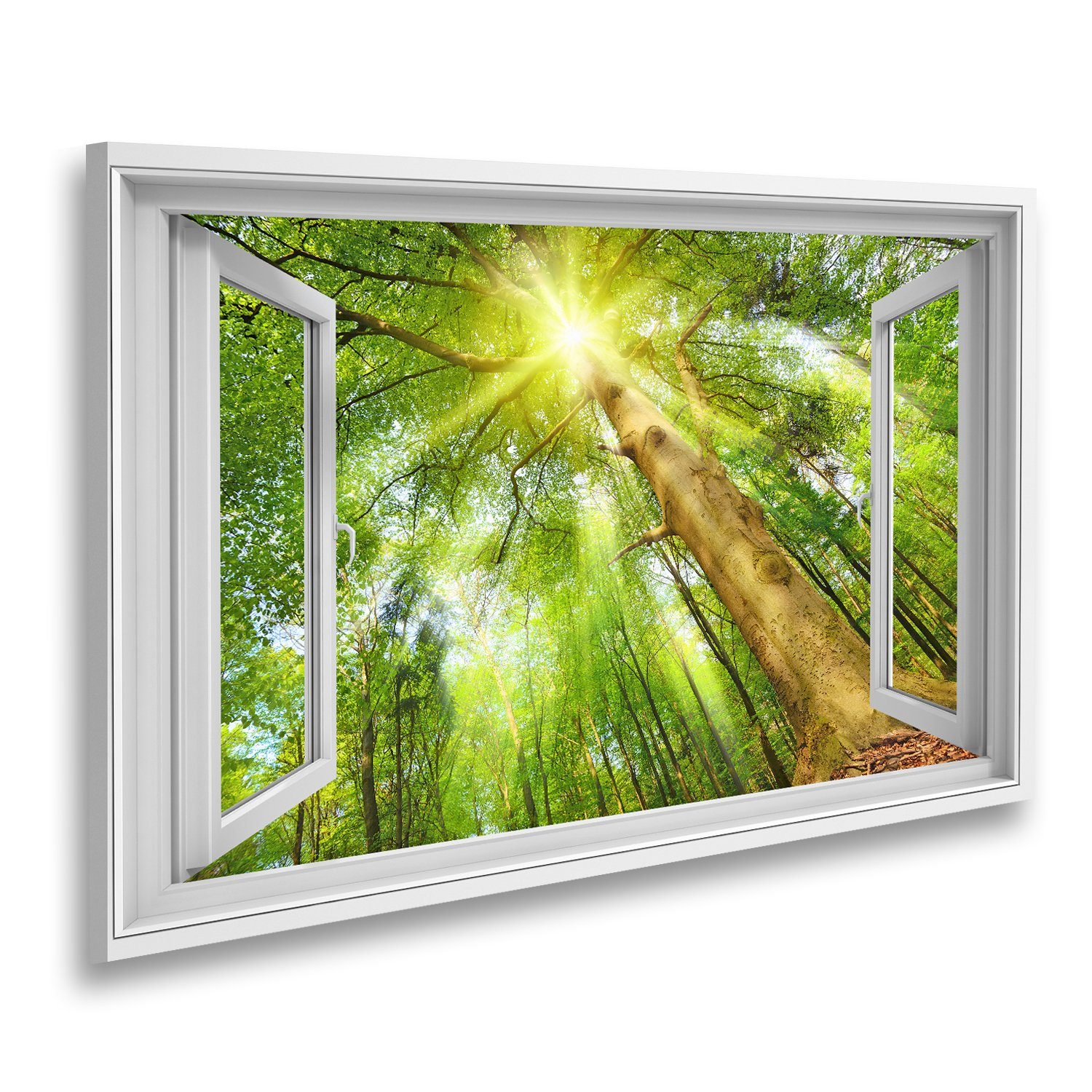 islandburner Leinwandbild Fensterblick Zauberhafte Stimmung in einem frischen, grünen Wald mit d