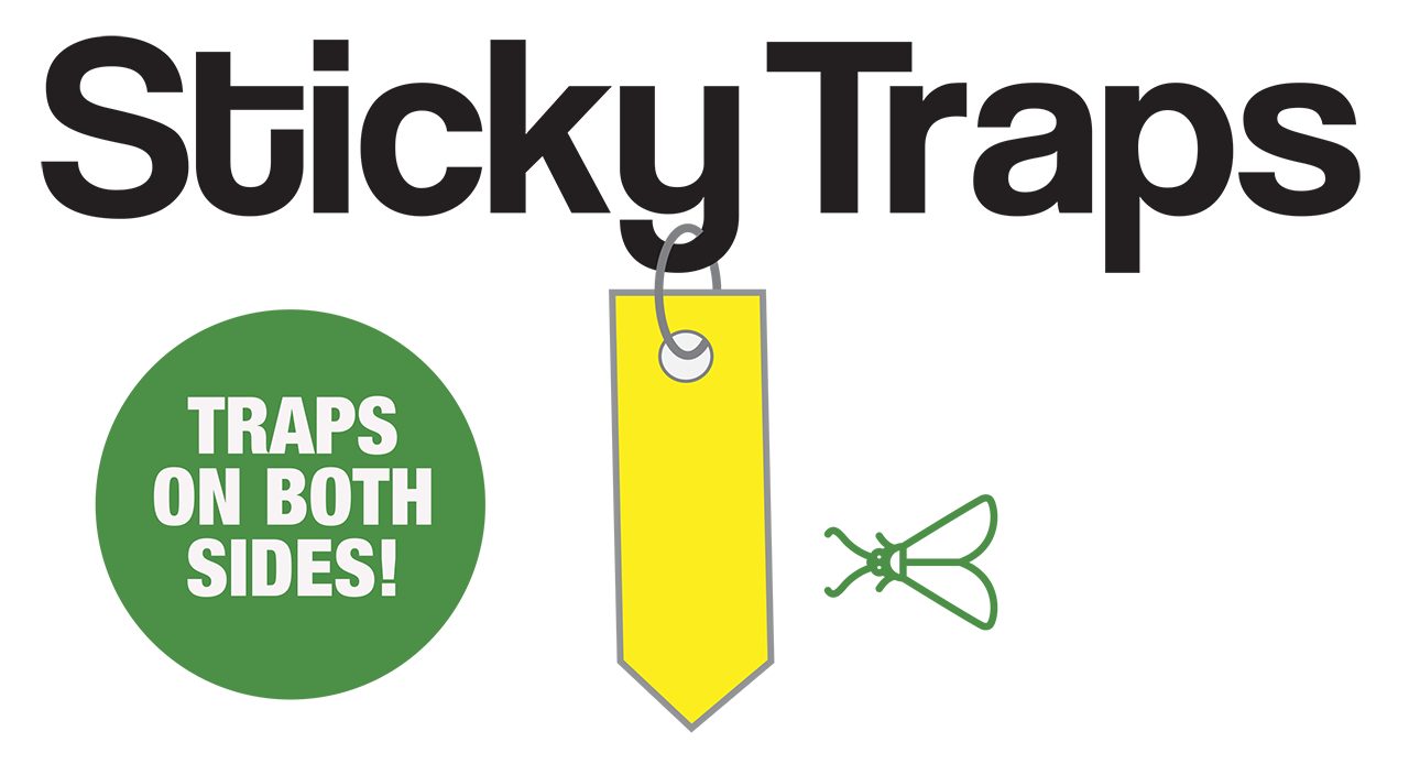 Sticky Trap Eimer schwarz komplett