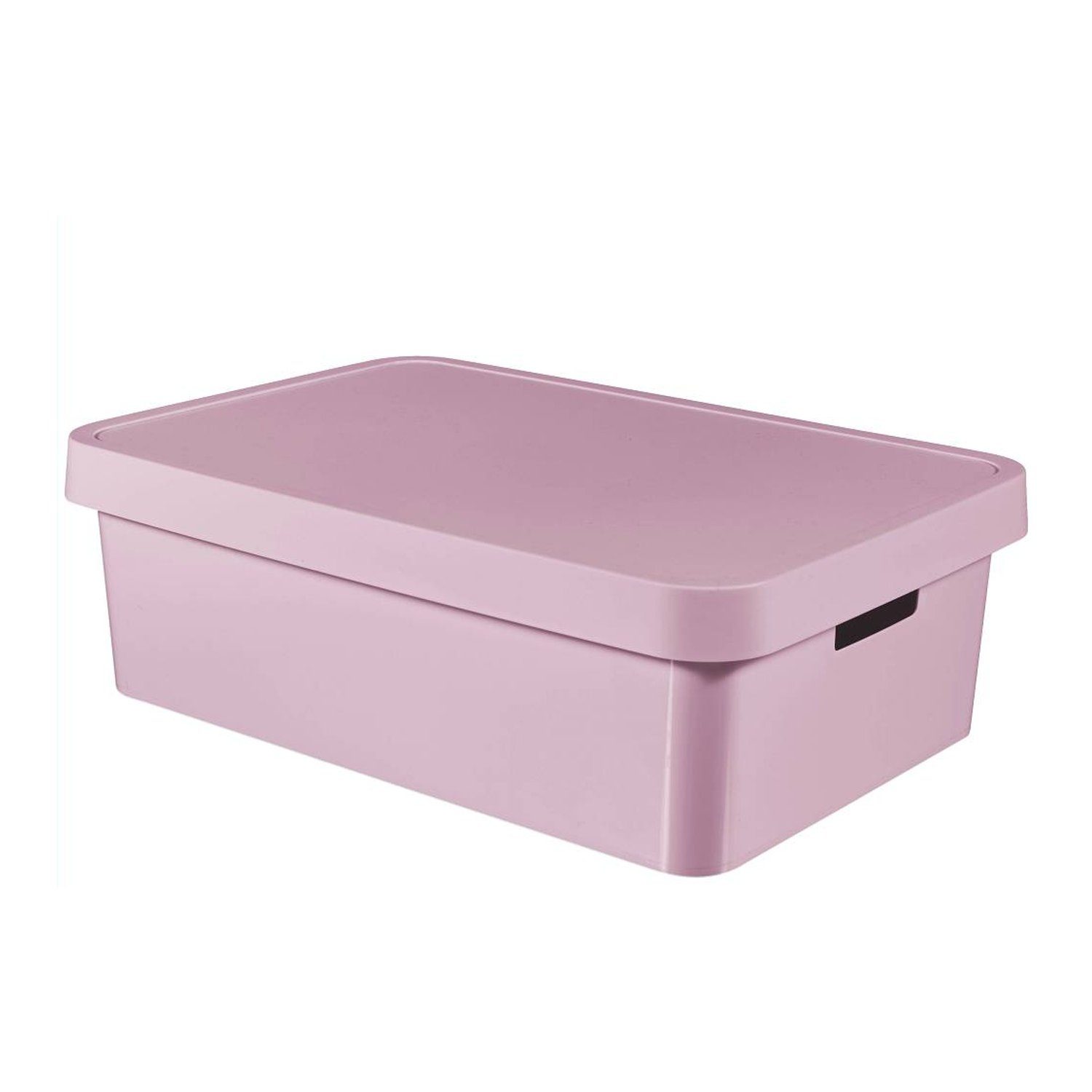 Curver Aufbewahrungsbox, Behälter mit Deckel Infinity 30 L