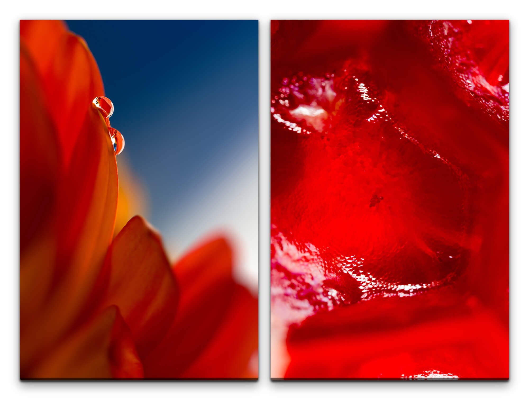 Sinus Art Leinwandbild 2 Bilder Je 60x90cm Blumen Rote Blüte Rot Wärme
