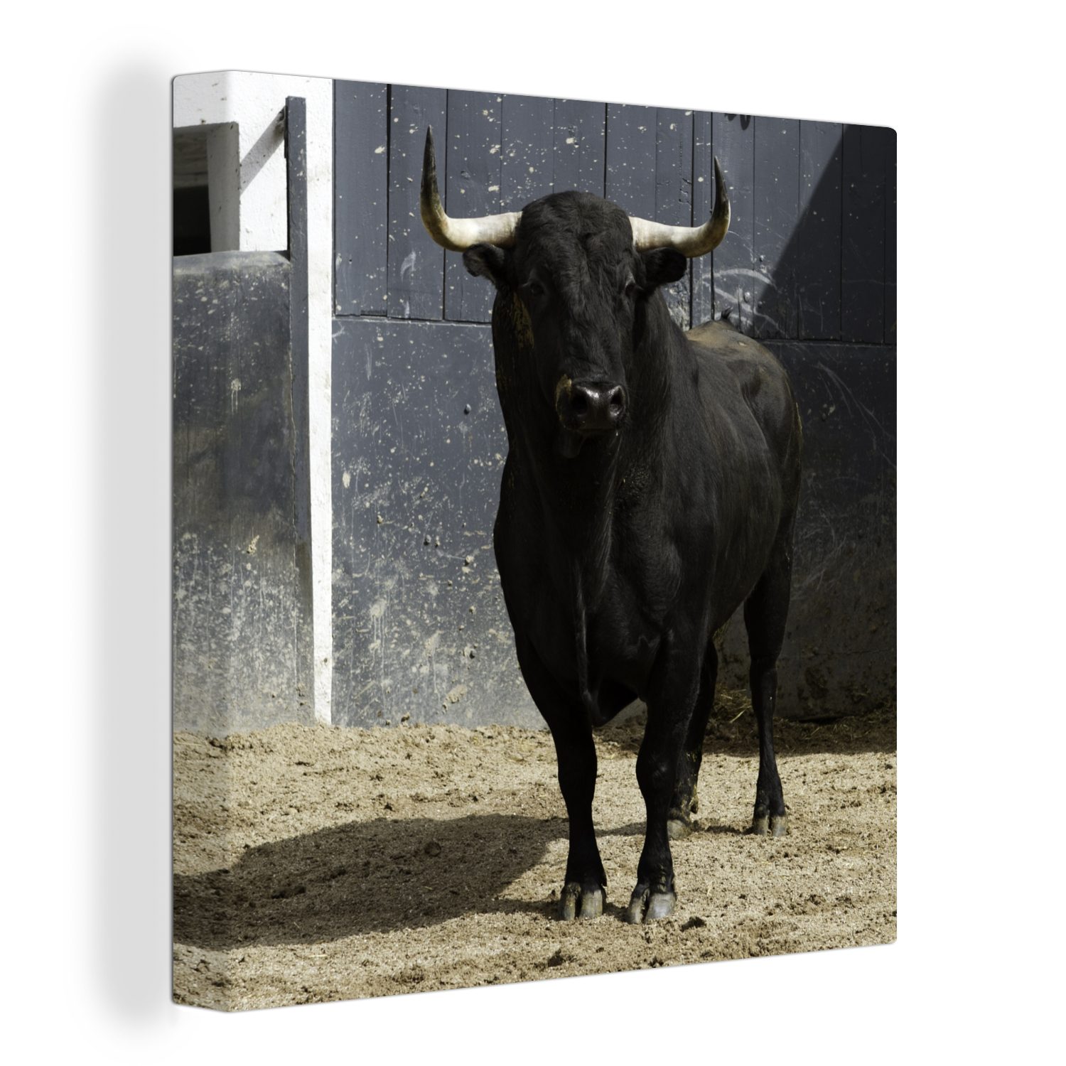 Onemillioncanvasses® Leinwandbild Ein Schwarzer Stier Auf Sand Vor