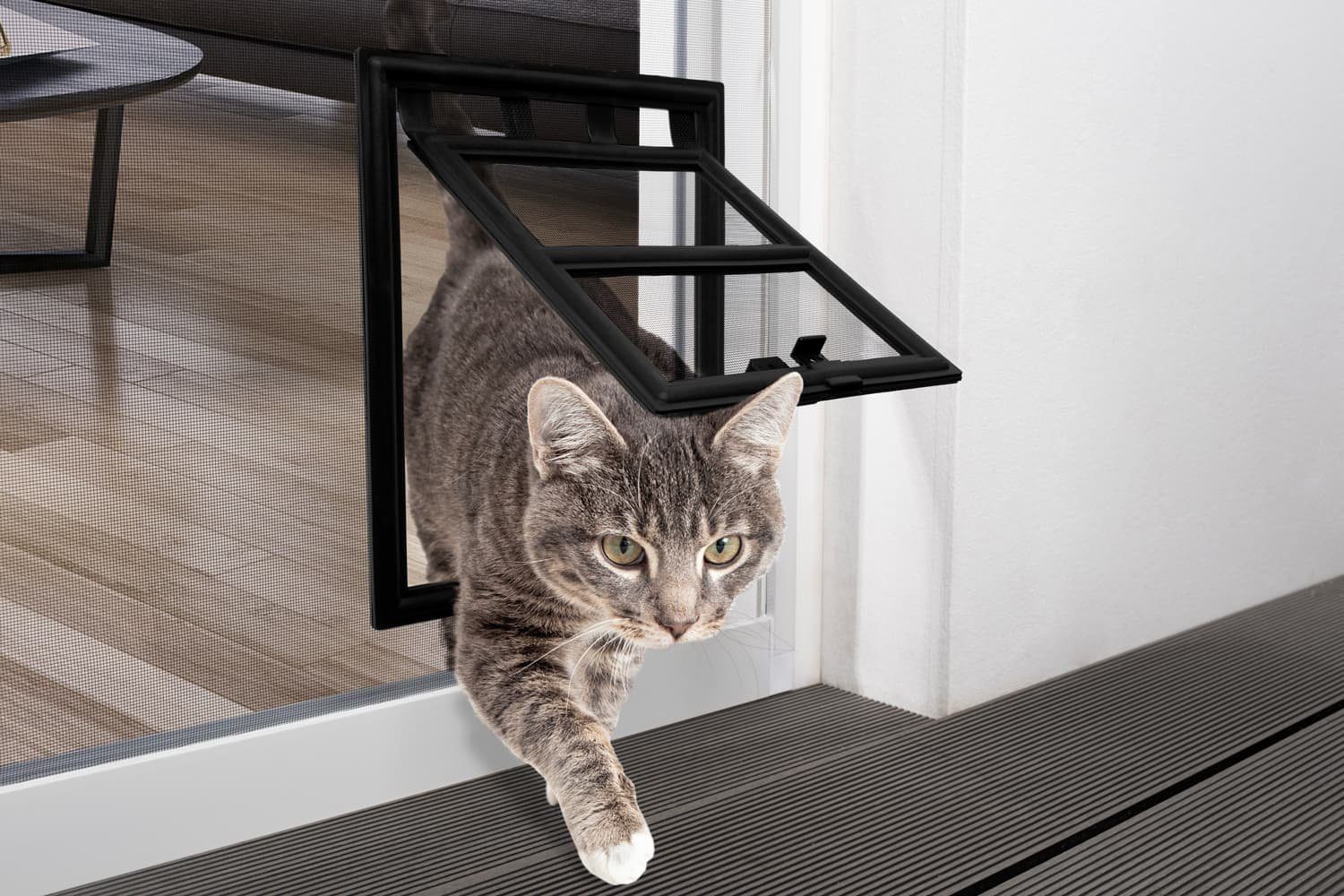 Elegantes Katzenklappe Fur Haustur Bilder