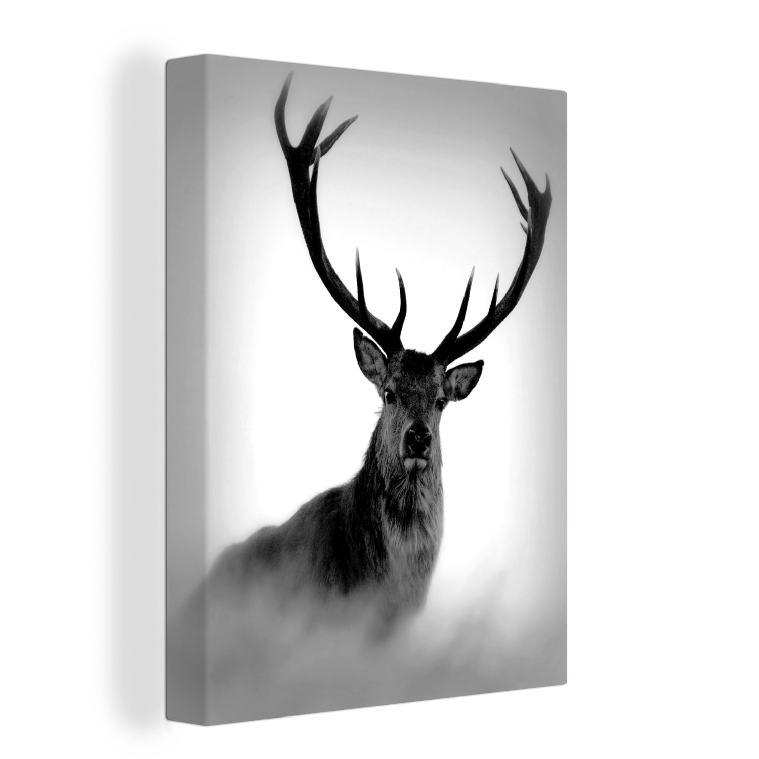 Onemillioncanvasses® Leinwandbild Porträt Eines Hirsches Mit Geweih