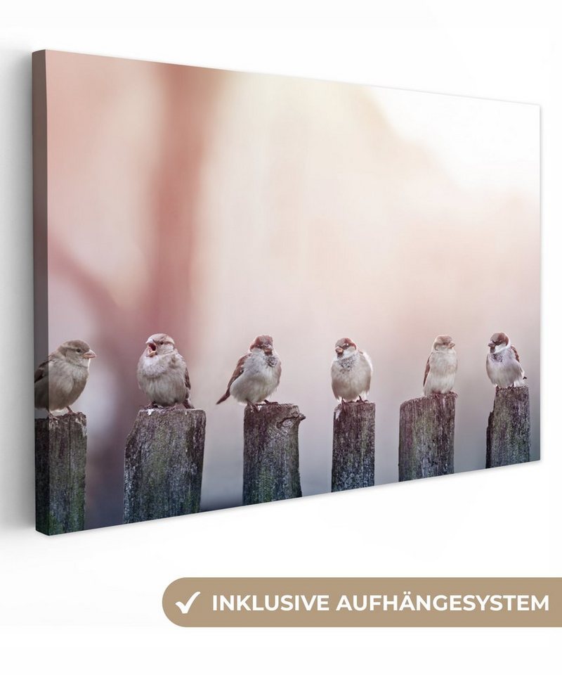 Onemillioncanvasses® Leinwandbild Vögel Spatzen Pfähle Holz 1