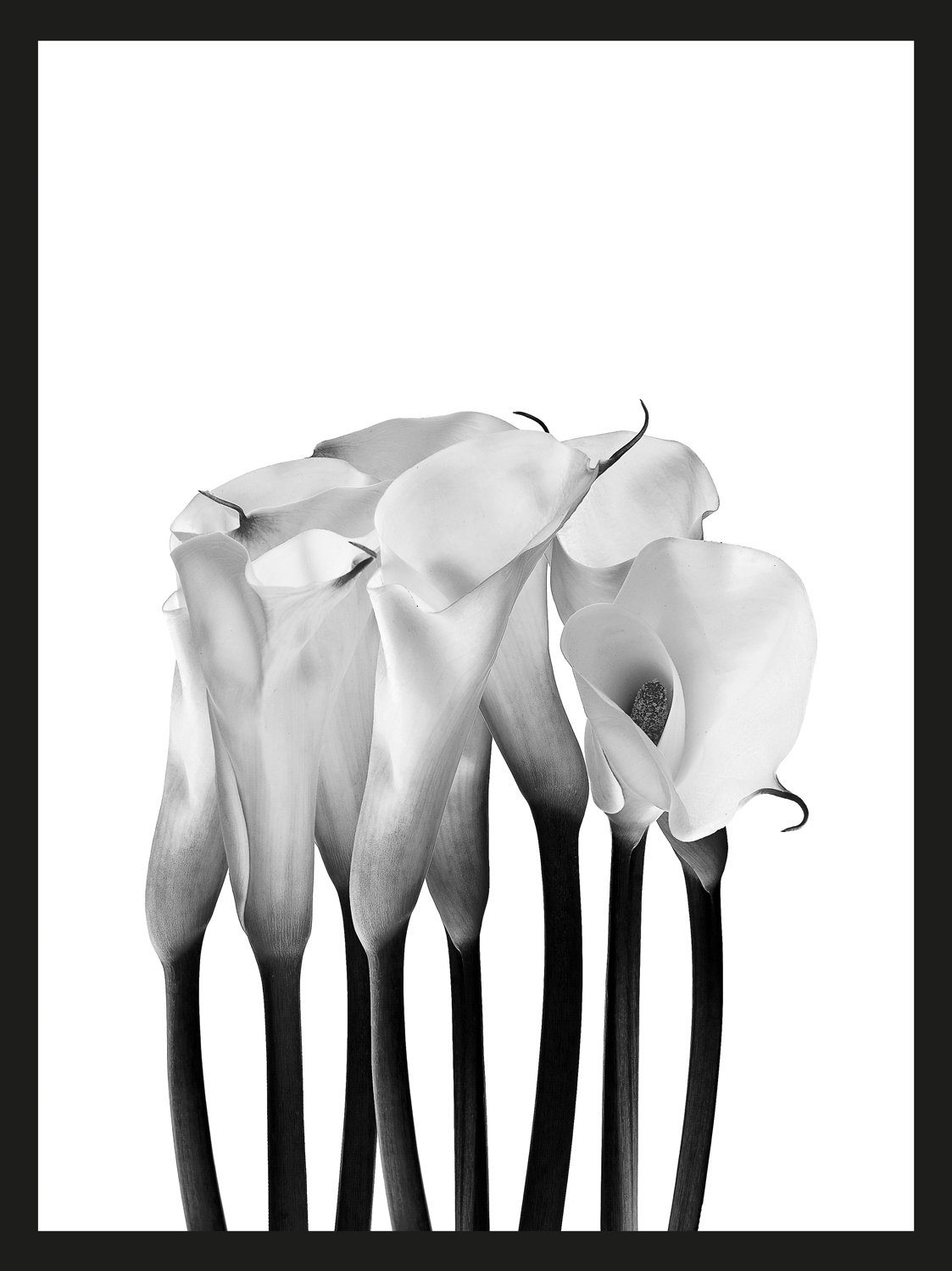 Gefunden auf otto.de