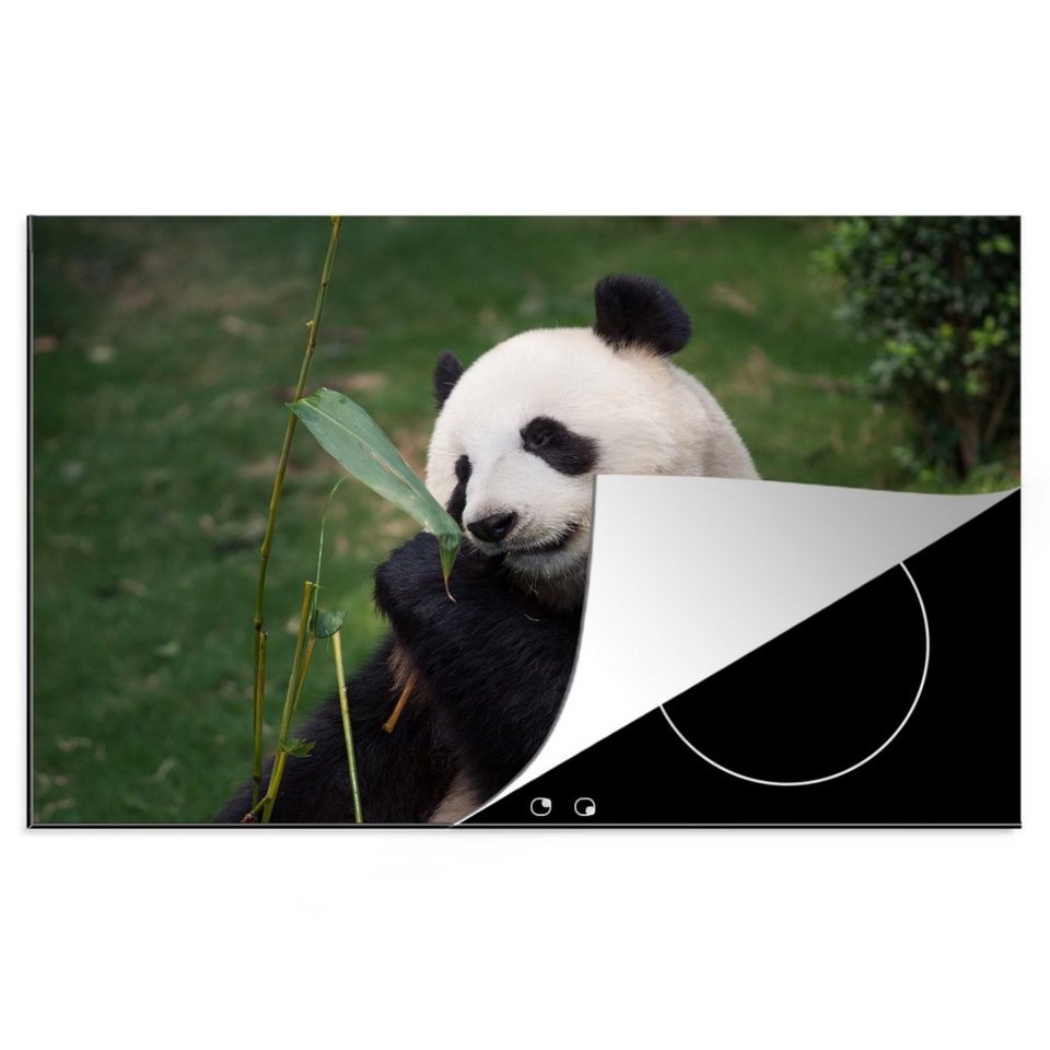 Muchowow Herdblende Abdeckplatte Pandabär Wilde Tiere Blätter