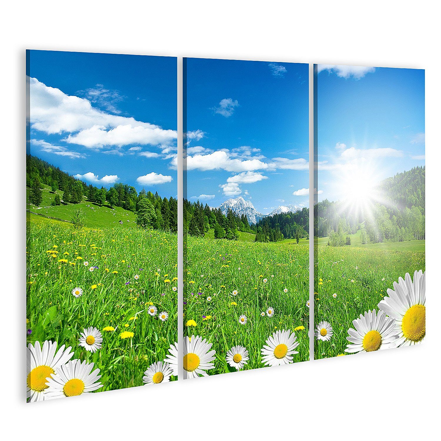 islandburner Leinwandbild Bild auf Leinwand Frühling in den Alpen mit Blumen und Himmel Wandbild