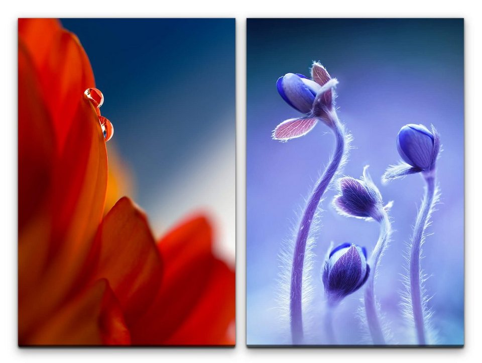 Sinus Art Leinwandbild 2 Bilder Je 60x90cm Blumen Rote Blüte Knospen