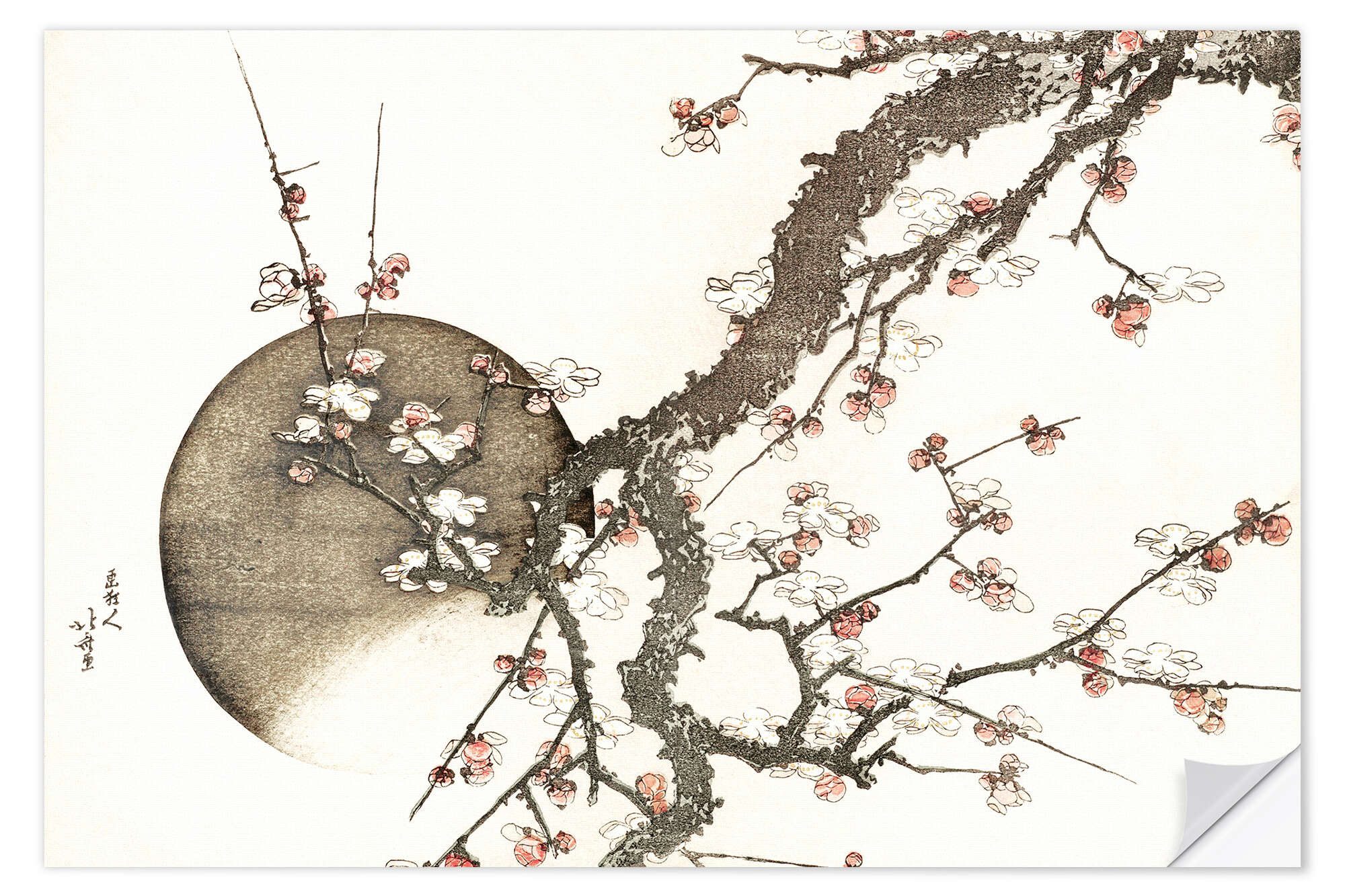 Posterlounge Wandfolie Katsushika Hokusai Pflaumenblüte Und Der Mond