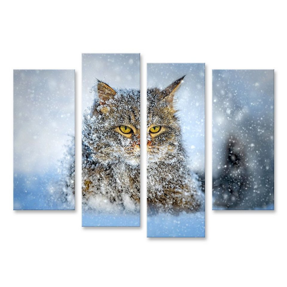Islandburner Leinwandbild Bild Auf Leinwand Katze Spaziert Im Schnee