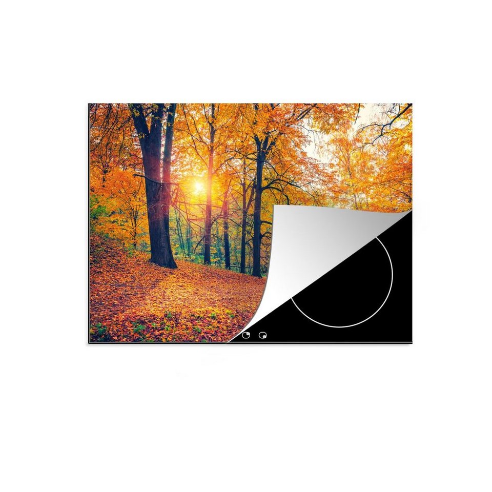 Muchowow Herdblende Abdeckplatte Bäume Herbst Wald Herbstliche