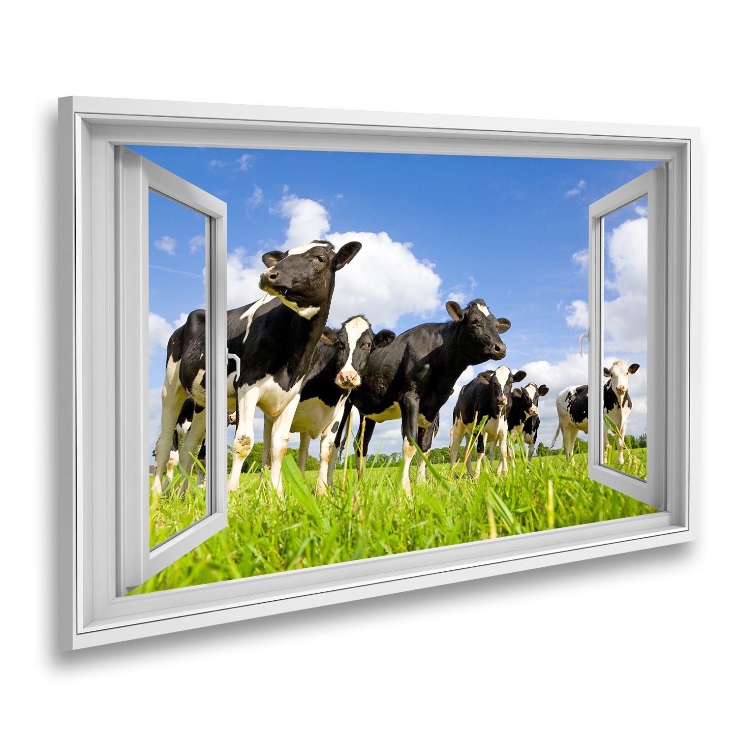 islandburner Leinwandbild Fensterblick Holsteinische Kühe auf der Weide Sagenhafter Effekt Wandb