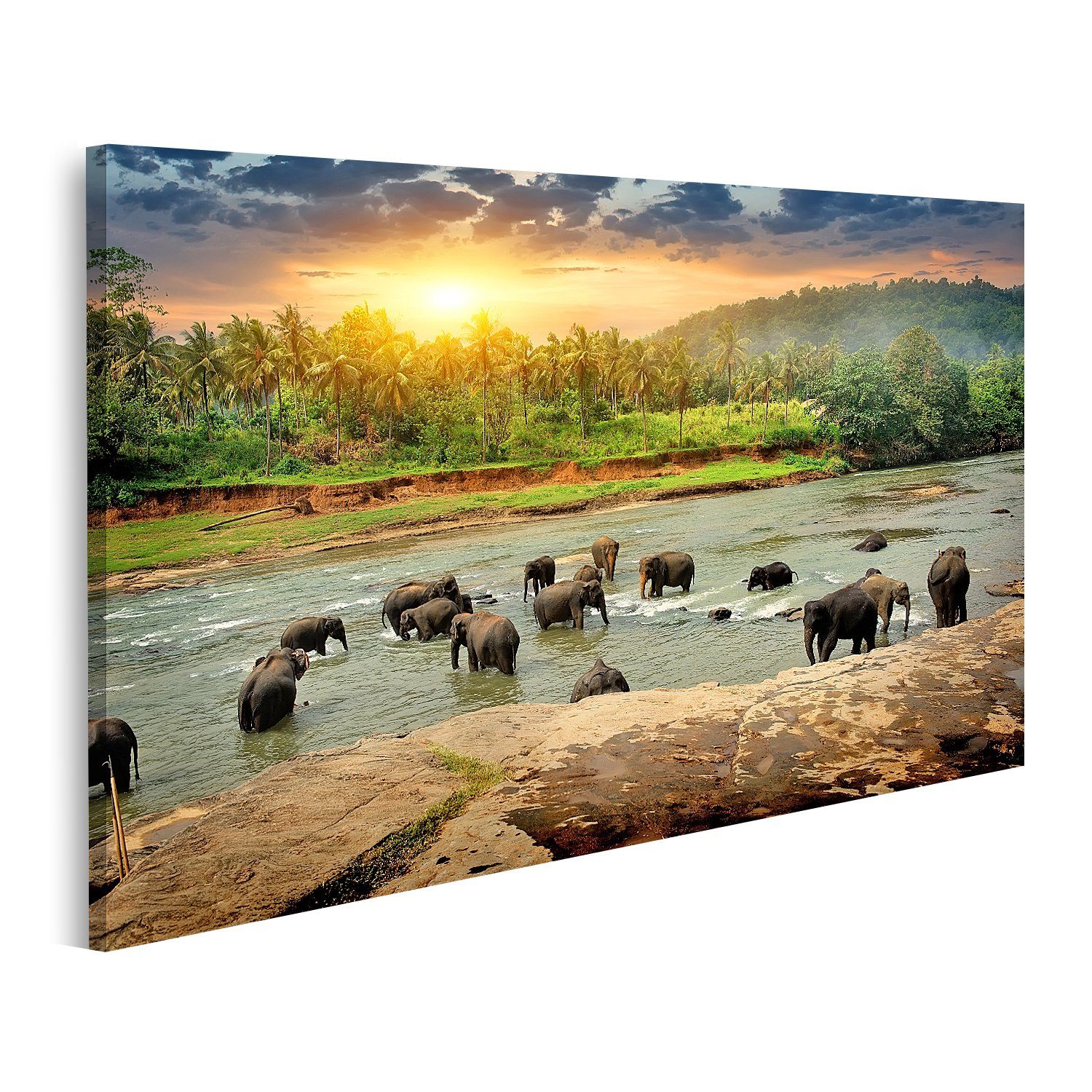 islandburner Leinwandbild »Bild auf Leinwand Elefanten Dschungel Herde Badende Fluss Sri Lanka ...