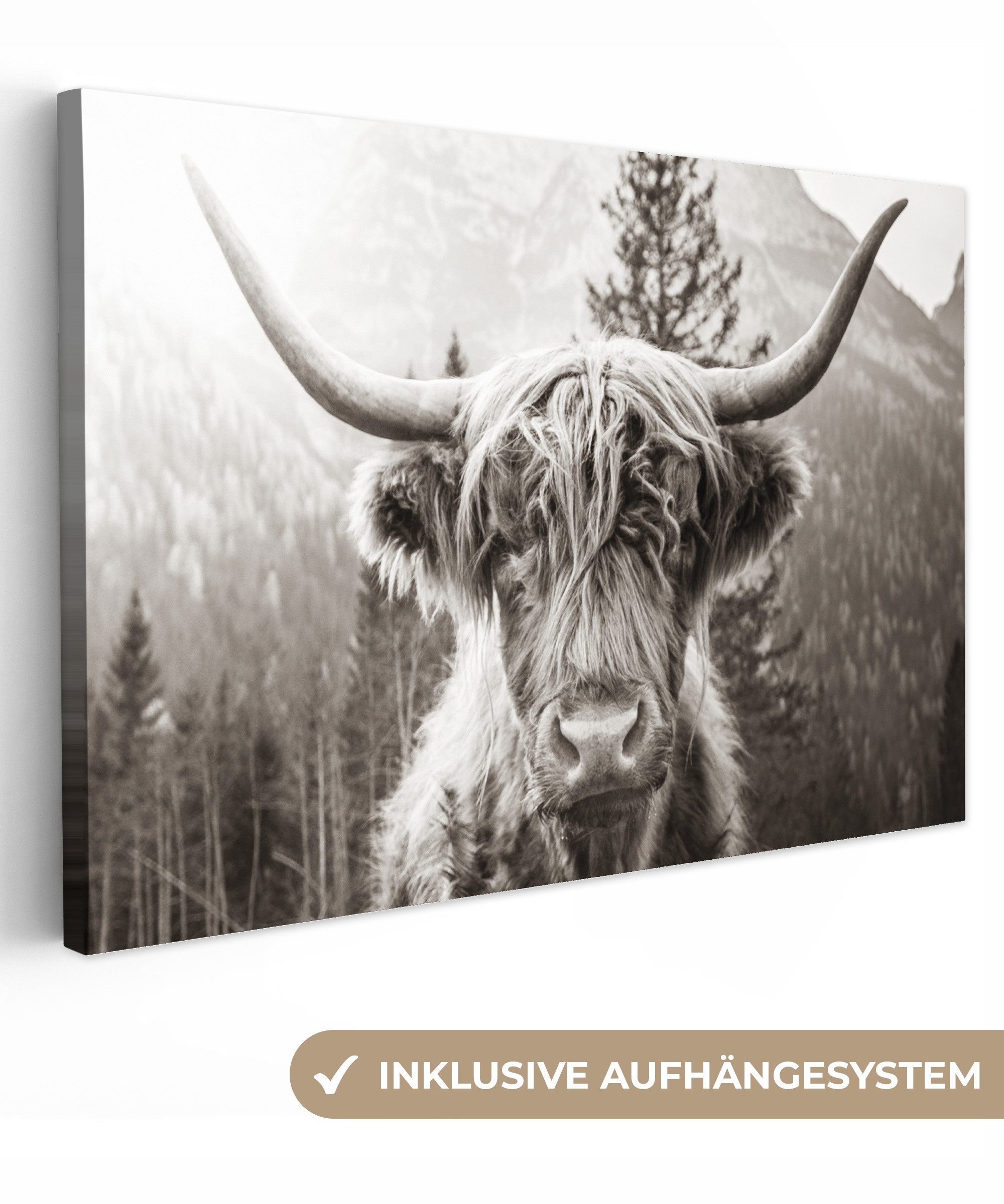 OneMillionCanvasses® Leinwandbild Schottischer Highlander - Kuh - Tiere - Schwarz - Weiß, Grau ...